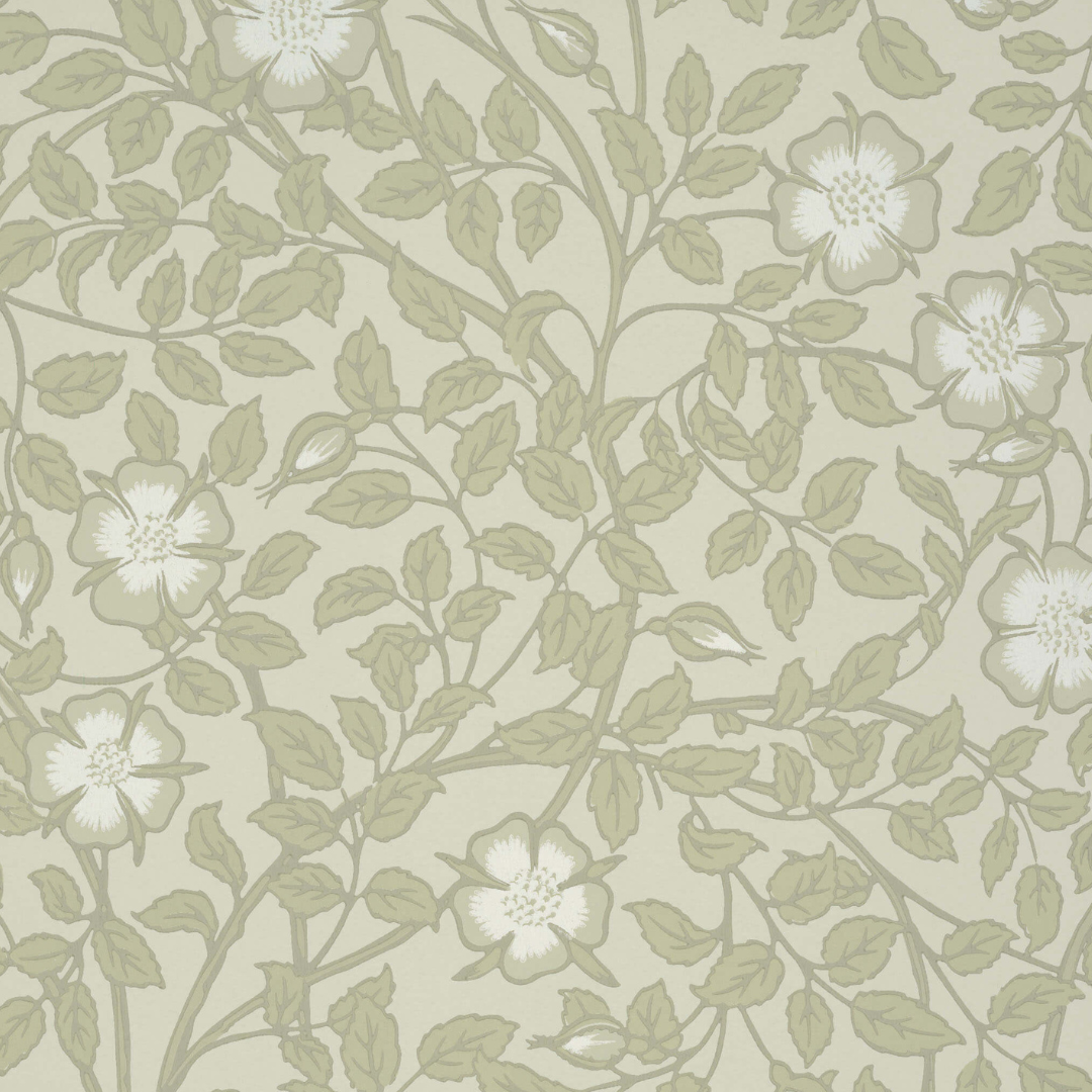 Briar Rose - SENSES colors - Little Greene CZ & SK distributor